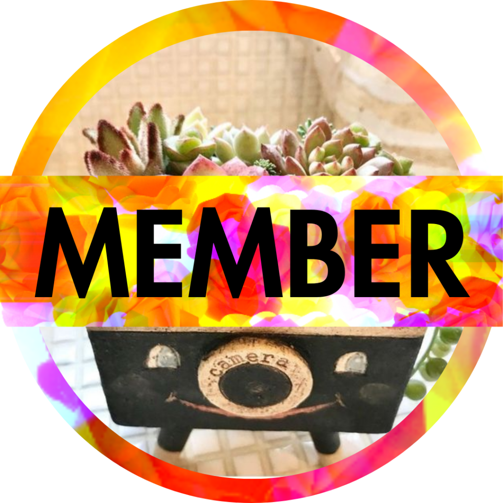 Member Ceramic Clay Planter - Anderson Museum of Art